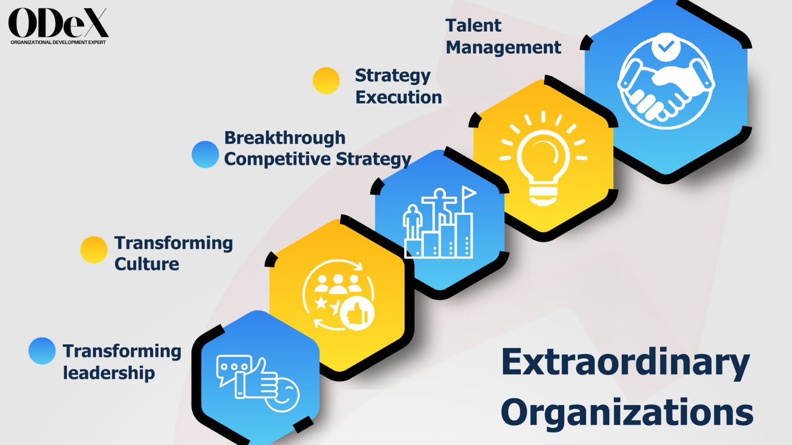 ODeX Alumni Network - Professional Community Platform